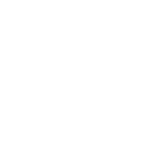 Swift Storm - Pacific Drive Wiki